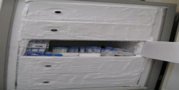 Advanced Wireless Environmental Monitor for Accurate Freezer ...